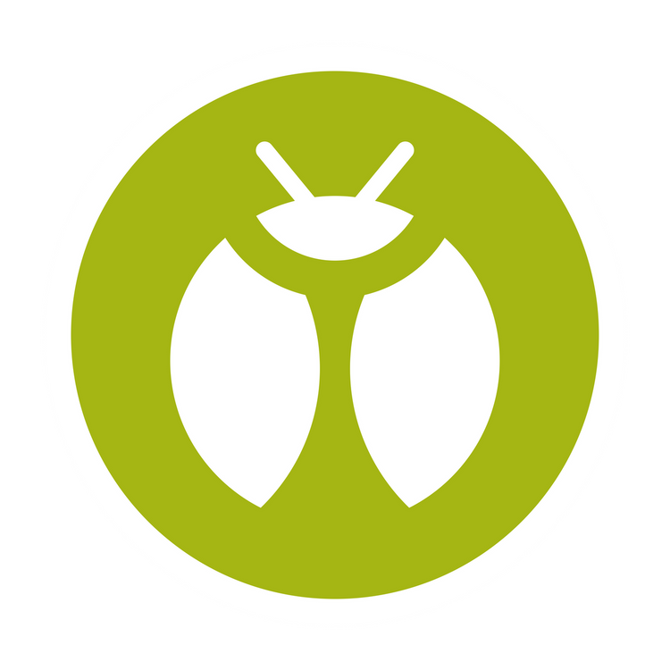 Collections – SugarStar Store