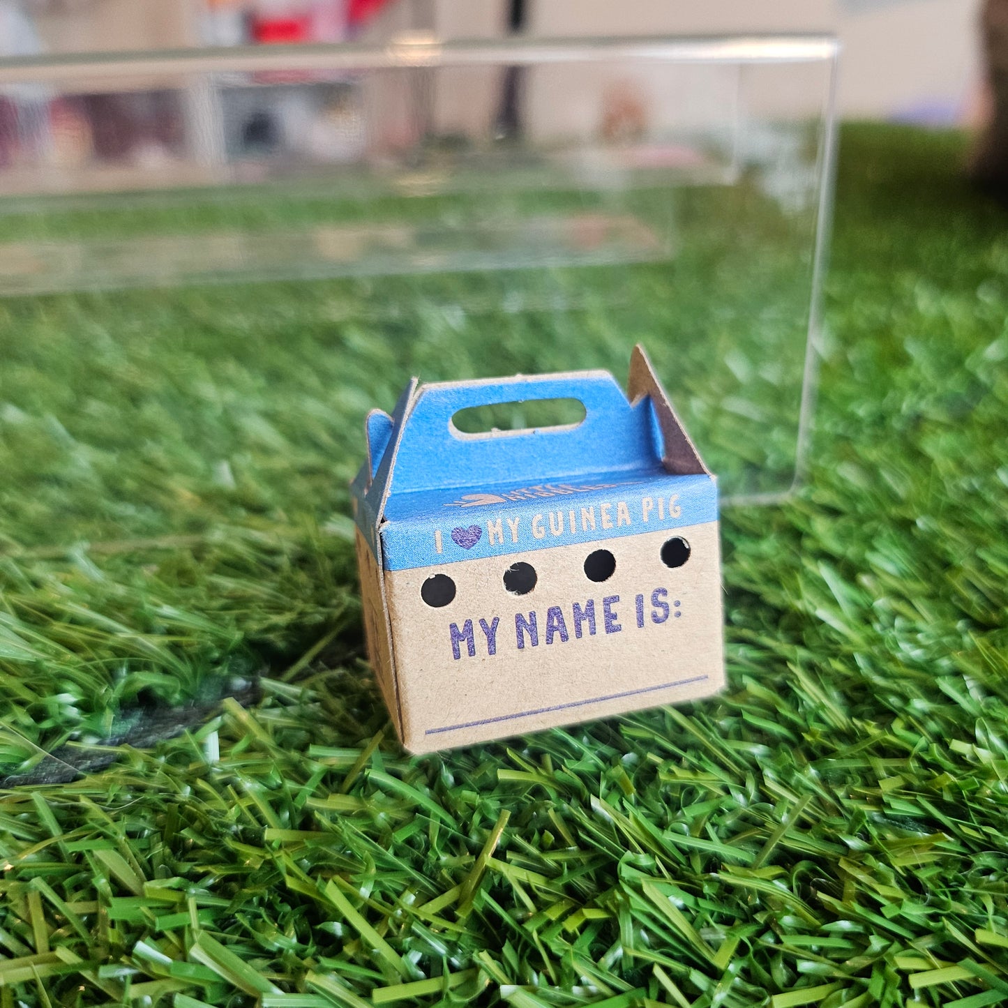 guinea pig box – SugarStar Store